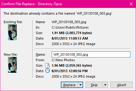 The Confirm File Replace Dialog