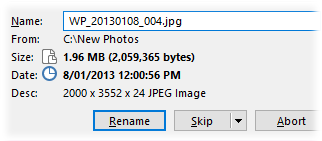 The Confirm File Replace Dialog